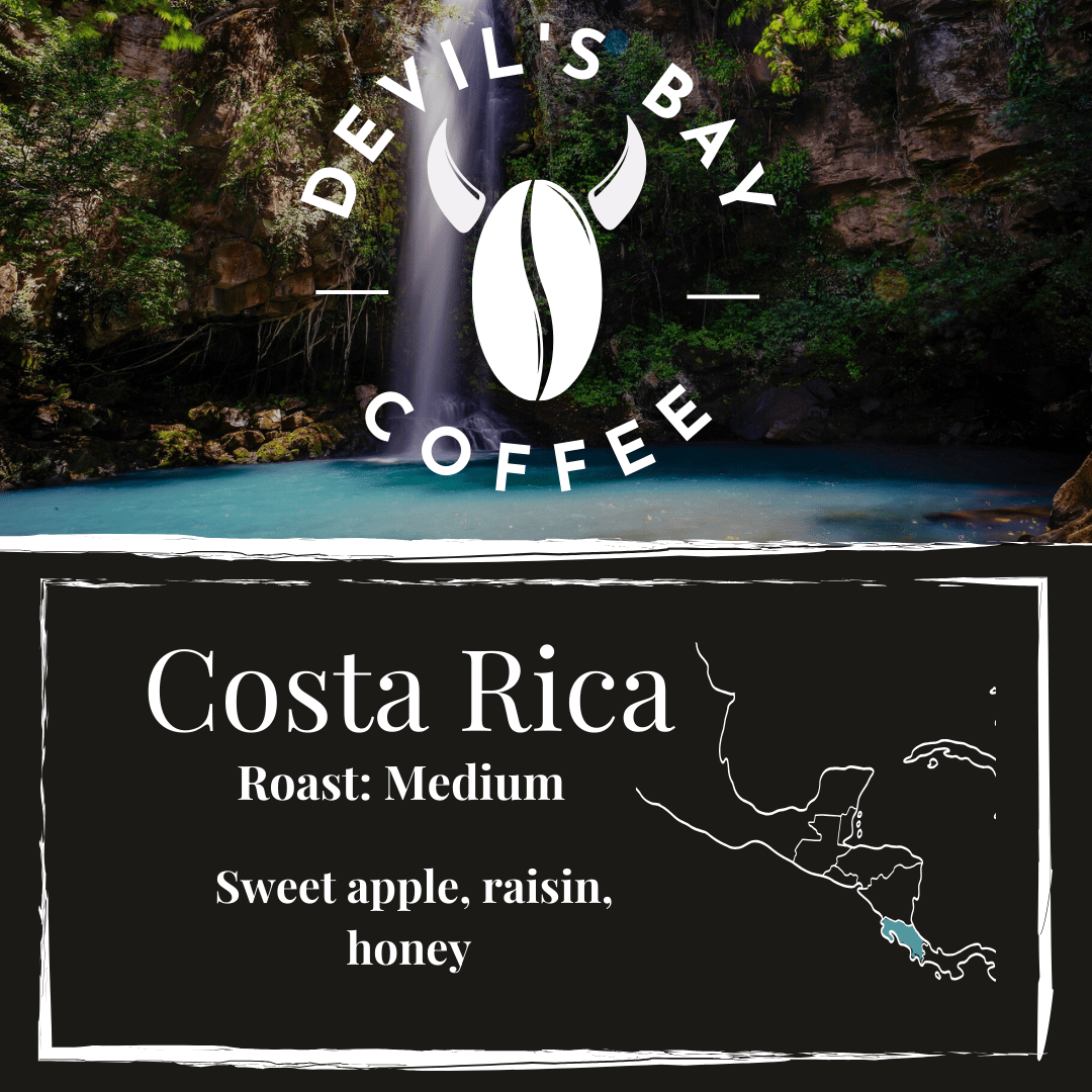 Devil's Bay Coffee – Devil's Bay Coffee